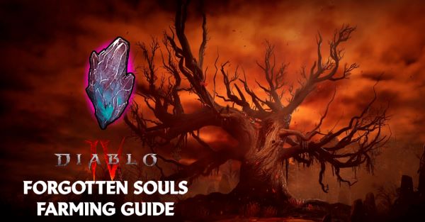 A Guide to Farming and Using Forgotten Souls in Diablo 4