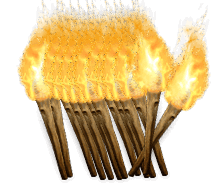 D2R Item Details - hellfire-torch-bundle-non-ladder-softcore - mmoso.com